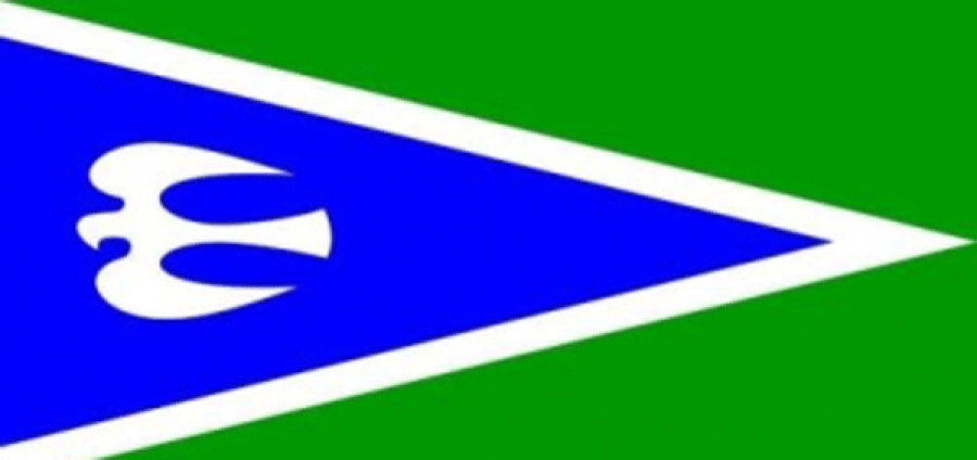 ИЗНН-ын даргаар С.Оюун улиран сонгогдлоо - Гэрэл гэгээ