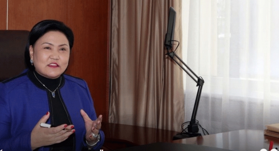 Д.Оюунхорол: Монгол Улсын нийт газар нутгийн 77.8 хувь нь цөлжилтөд ...