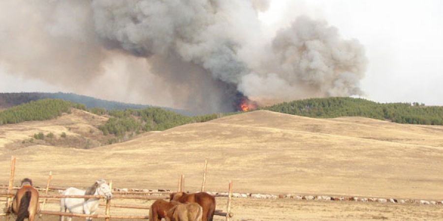 Хилийн бүс нутаг түймэртэй байна - Гэрэл гэгээ