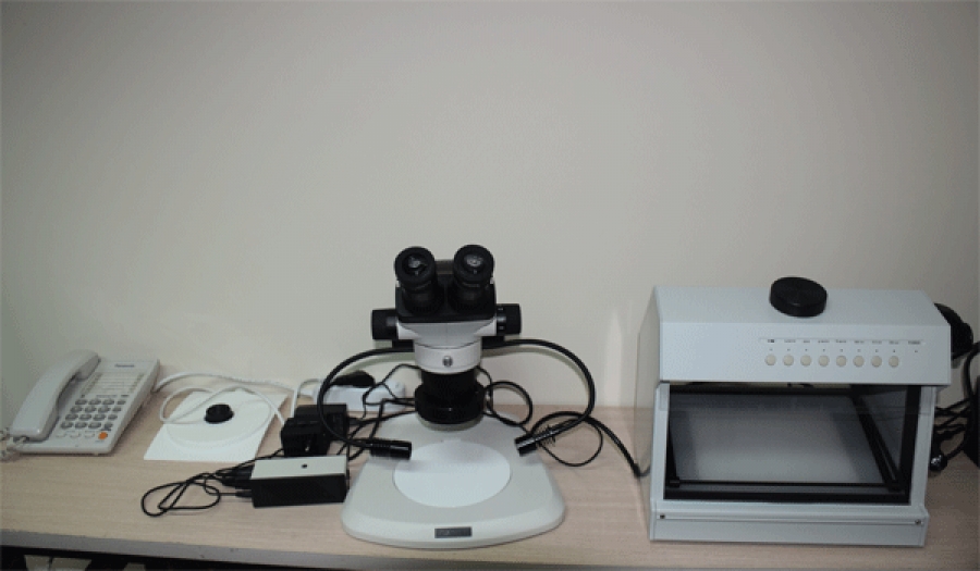 Зорчигчийн баримт бичиг шалгах лабораторитой боллоо - Гэрэл гэгээ