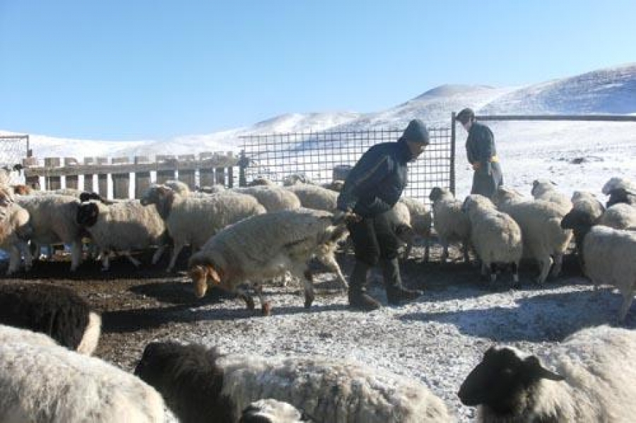 Хорио цээр тогтоолоо - Гэрэл гэгээ