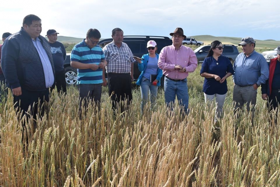 Сайд П.Сэргэлэн ургац хураалтын бэлтгэл ажилтай танилцлаа - Гэрэл гэгээ