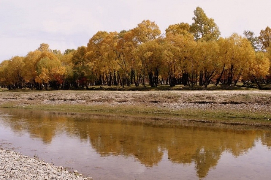 Ихэнх нутгаар бага зэрэг дулаарна - Гэрэл гэгээ