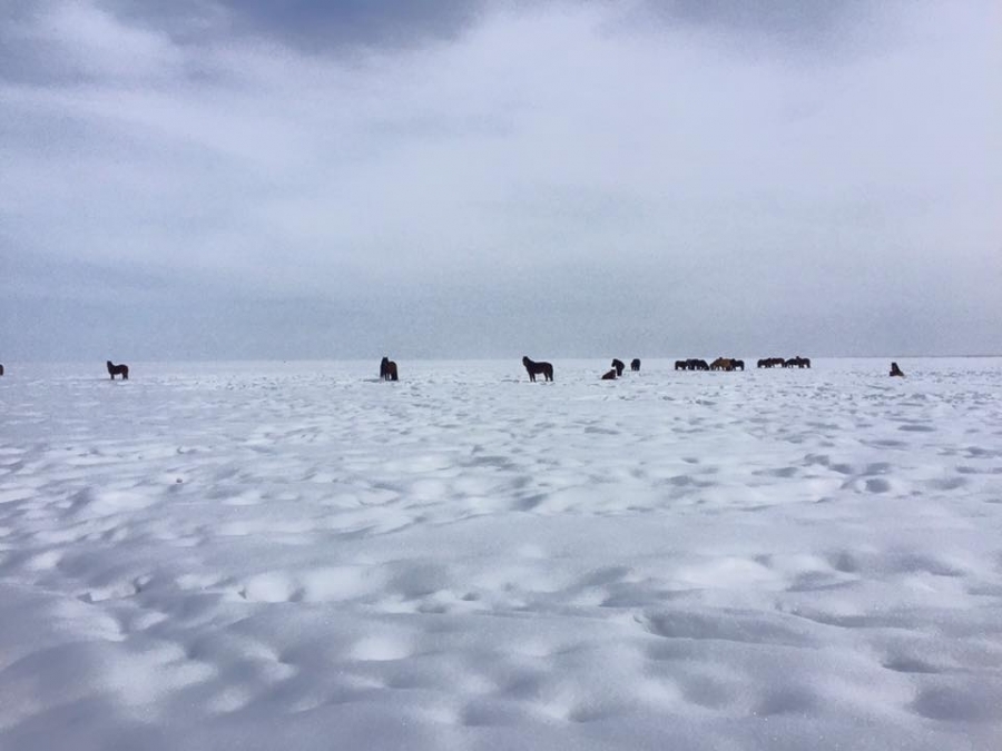 Шадар сайдаар ахлуулсан “Шуурхай бүлэг” баруун аймгийг зорилоо - Гэрэл ...