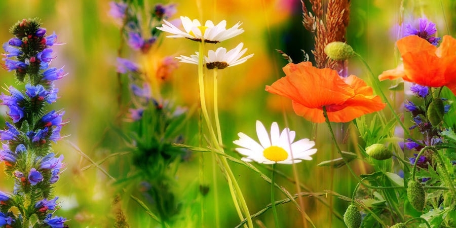 Улаанбаатарт 21-23 градус дулаан - Гэрэл гэгээ