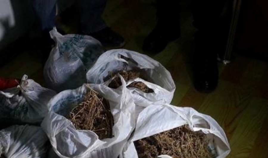 Сэтгэцэд нөлөөлөх ургамал түүж бэлтгэн боловсруулж байсан иргэдийг
